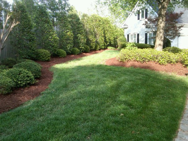Mulching | STEWART'S LAWN AND LANDSCAPING INC.